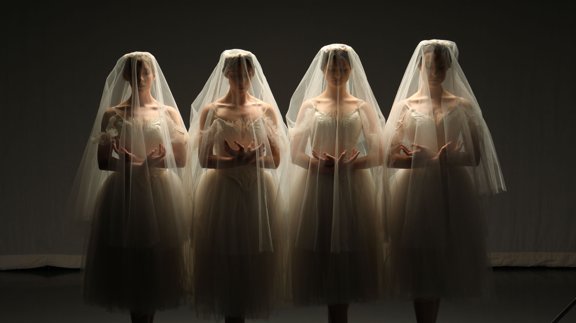 Ballet Arizona Branding & Marketing | ps:studios